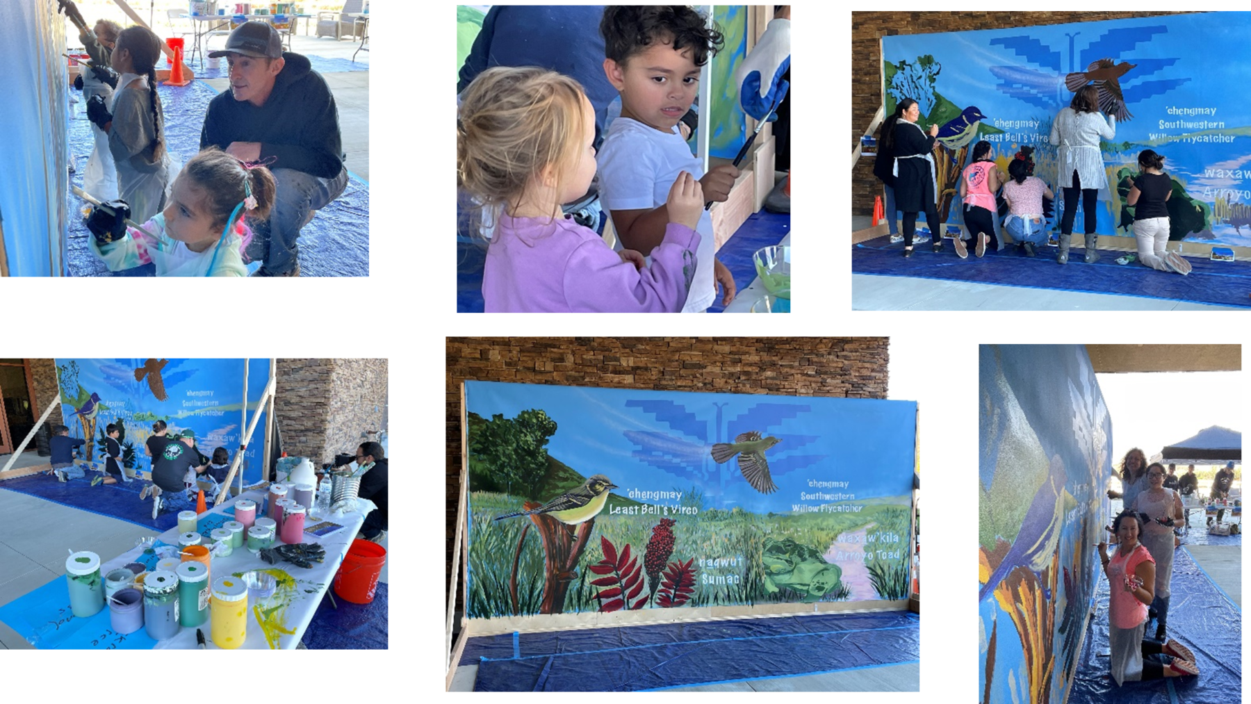 Endangered Species and Habitat Protection – The Rincon Band of Luiseño ...